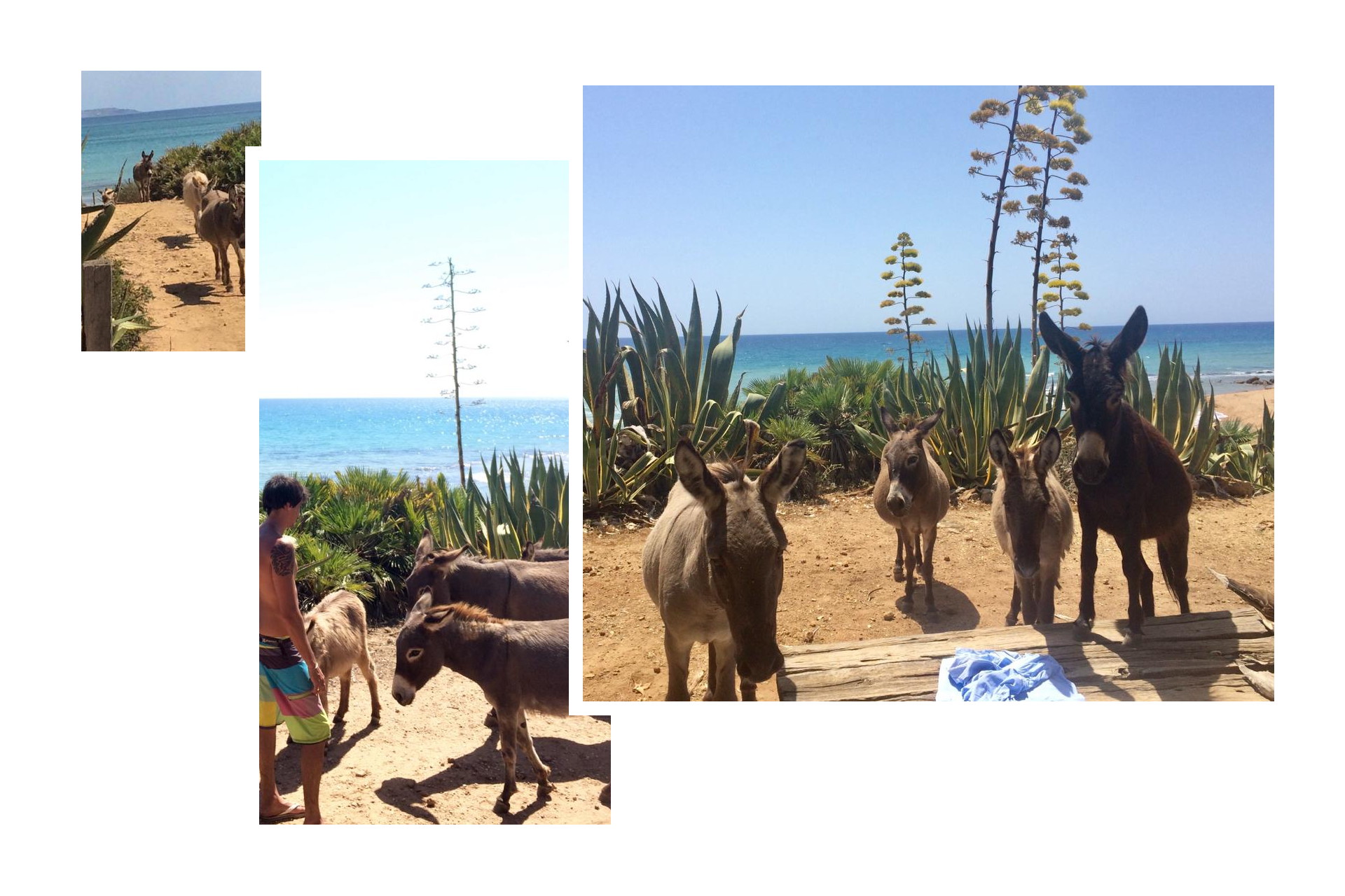 Cottage Aquamarine Menfi | Beach Access & Pool | Scent of Sicily